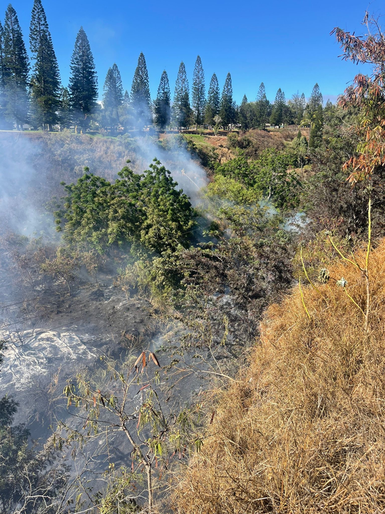 Brush fire in Pukalani forces residents to temporarily evacuate ...